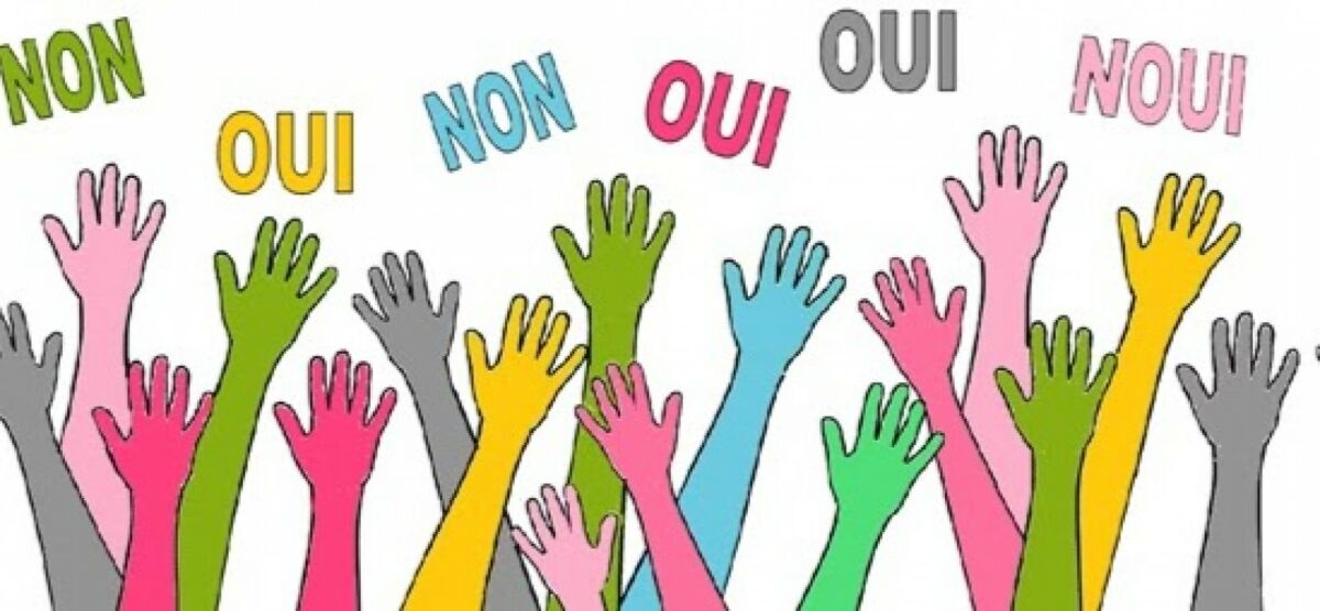 Non démocratique, la motion de méfiance ? Un étonnement... surprenant ...